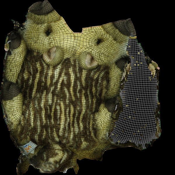 Plush animal 3D - TurboSquid 1490860