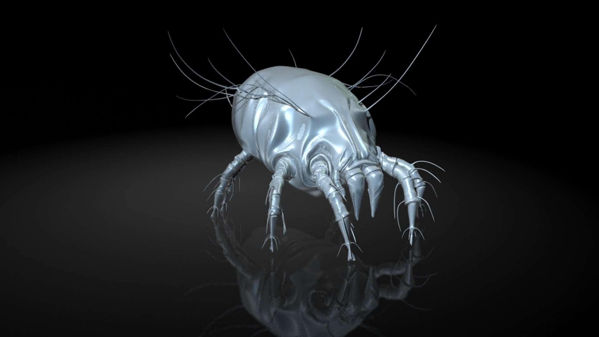 Mites insects 3D model - TurboSquid 1319722