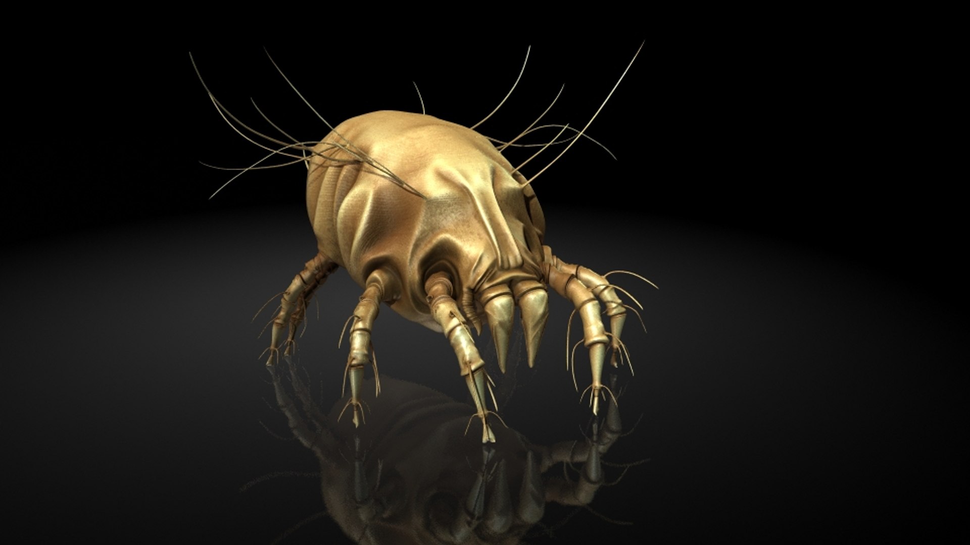 Mites insects 3D model - TurboSquid 1319722