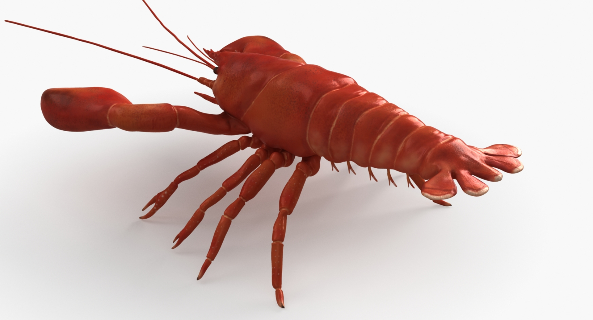 3D model lobster animation - TurboSquid 1190614