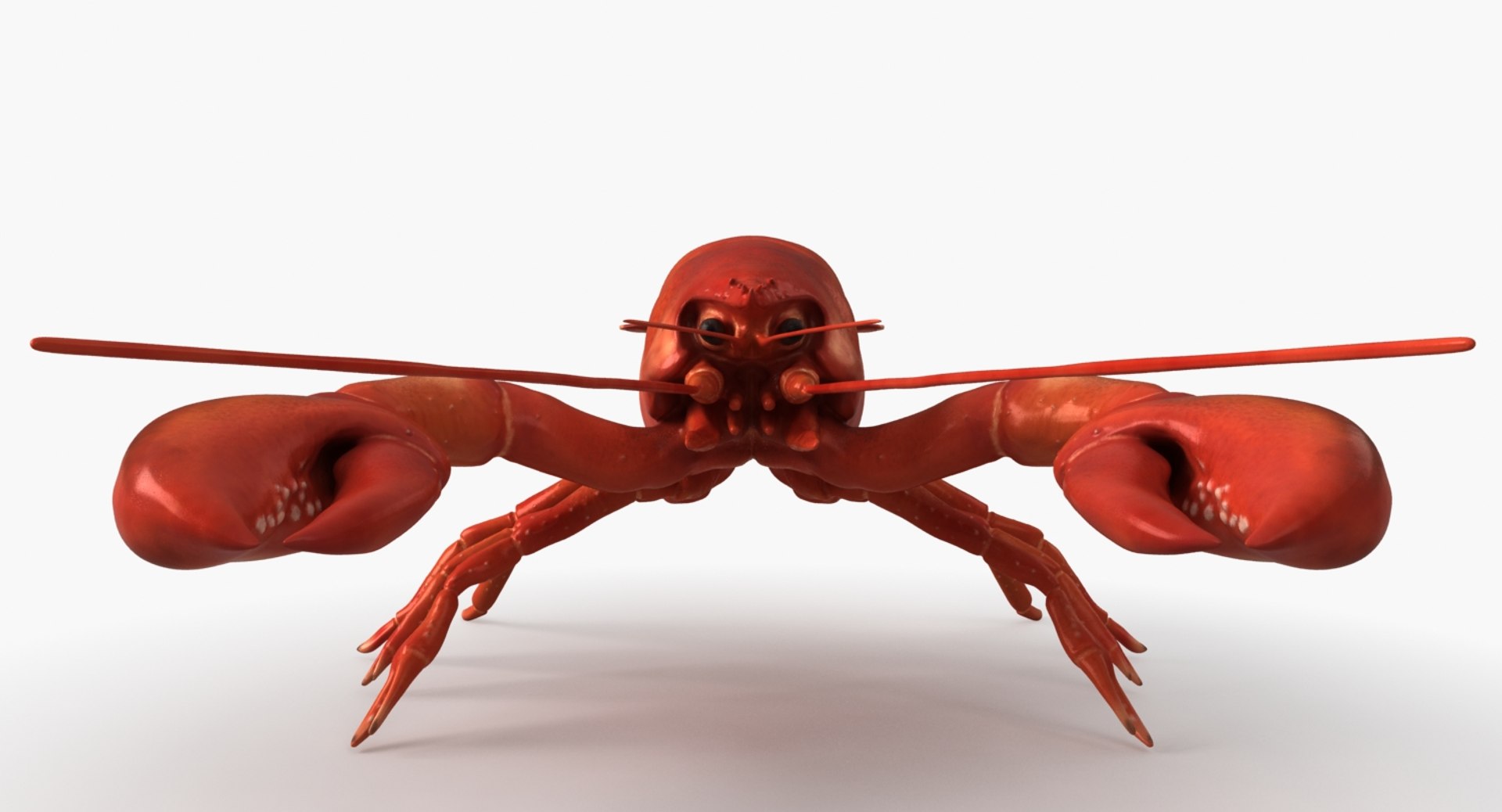 3D Model Lobster Animation - TurboSquid 1190614