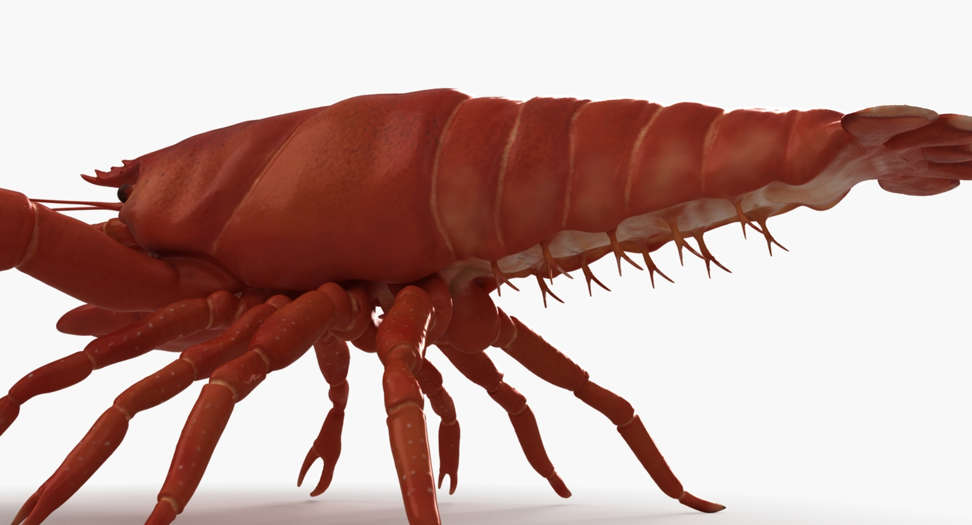 3D model lobster animation - TurboSquid 1190614