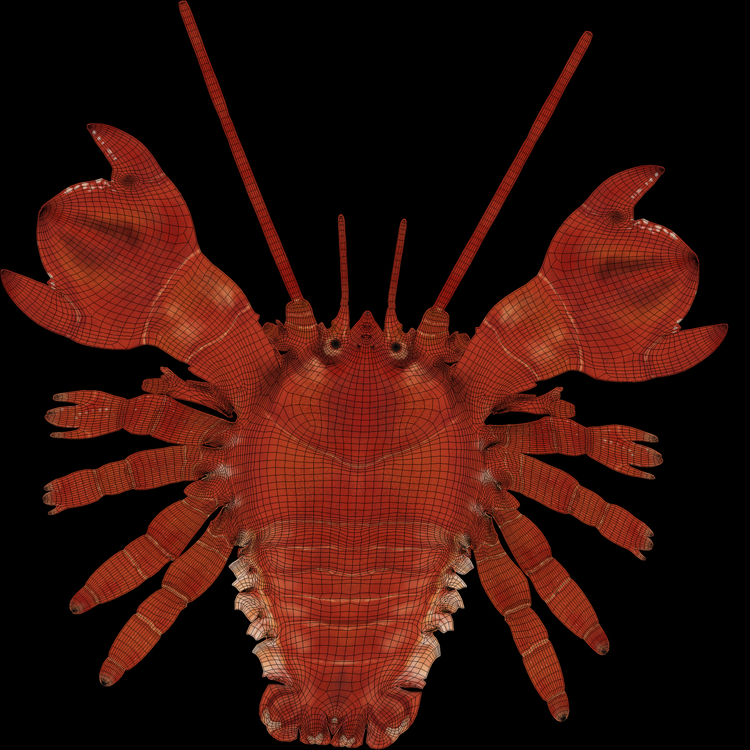 3D model lobster animation - TurboSquid 1190614