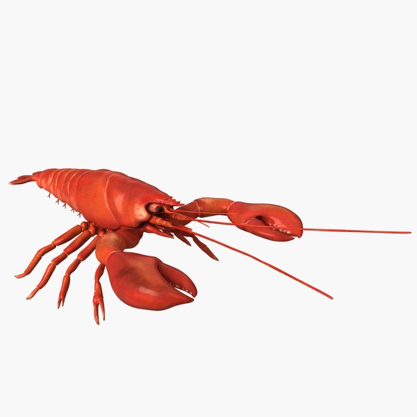 3D model lobster animation - TurboSquid 1190614
