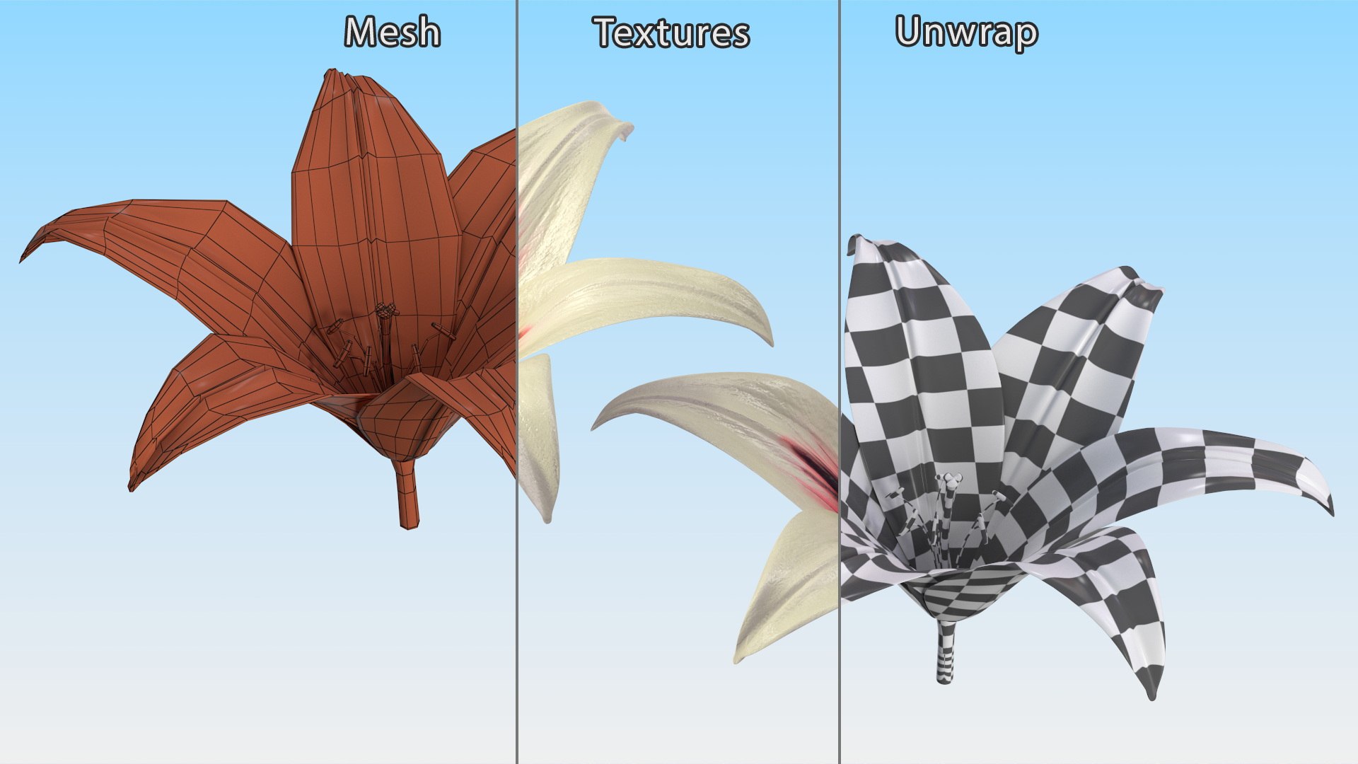 Realistic Lily Flower Model - TurboSquid 2245881