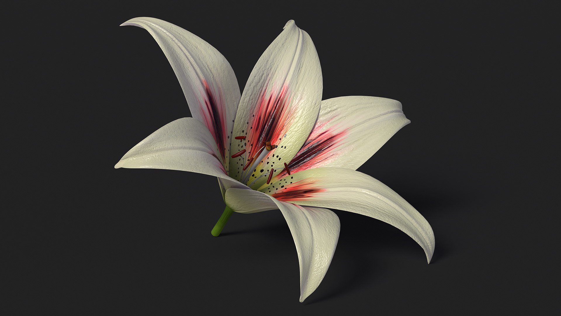 Realistic Lily Flower Model - TurboSquid 2245881