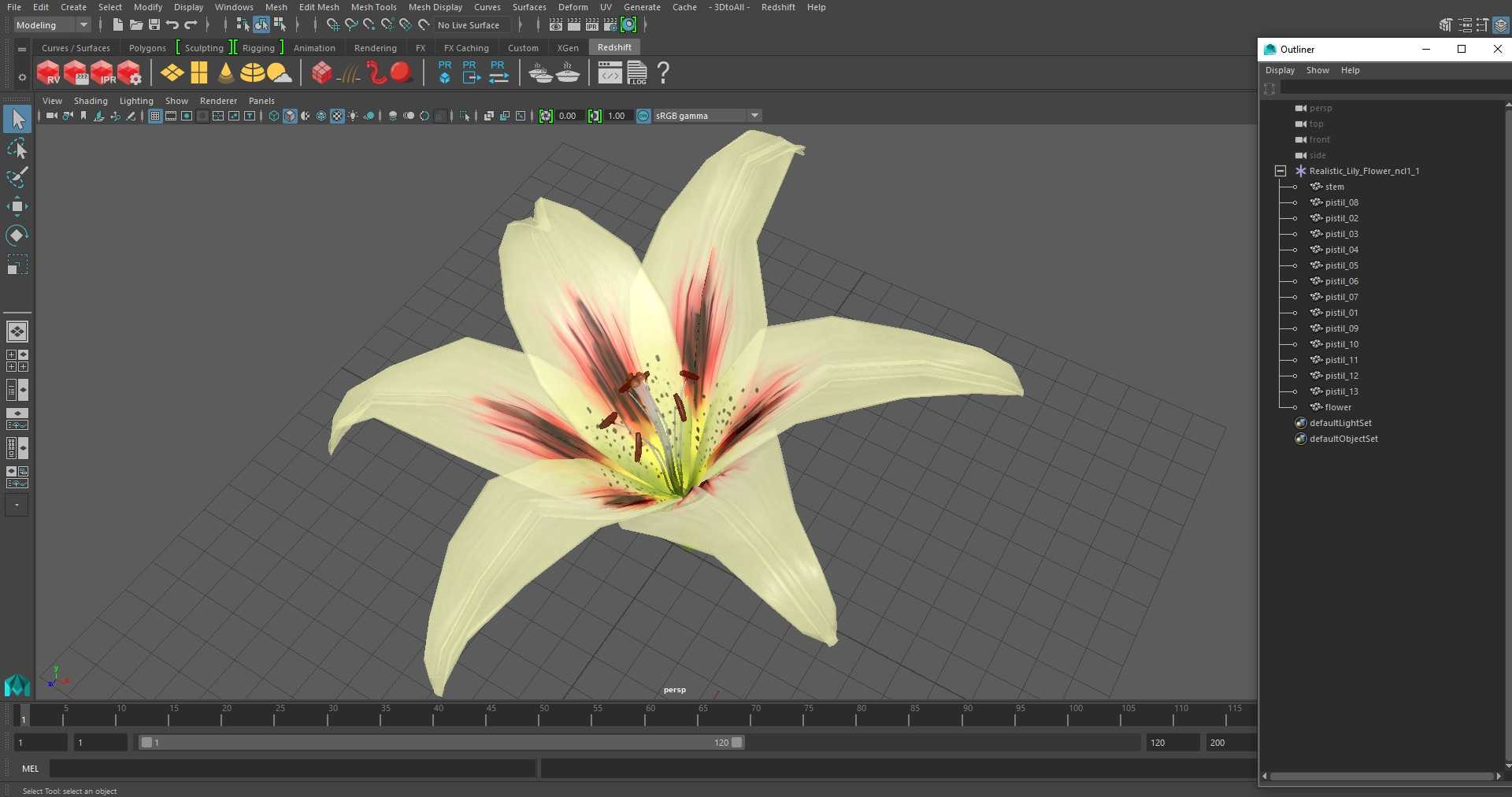 Realistic Lily Flower Model - TurboSquid 2245881