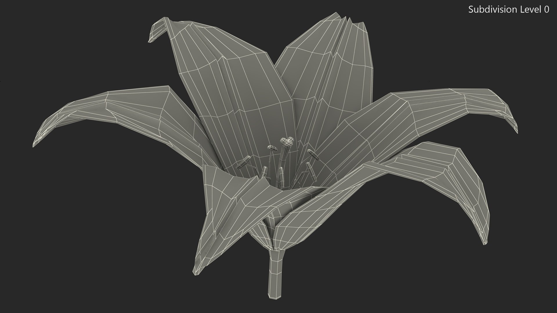 Realistic Lily Flower Model - TurboSquid 2245881