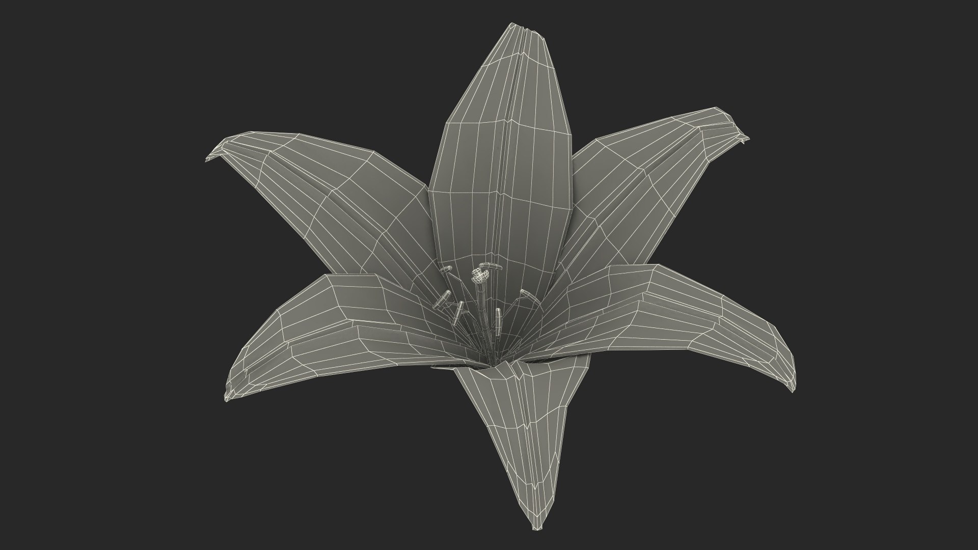 Realistic Lily Flower Model - TurboSquid 2245881