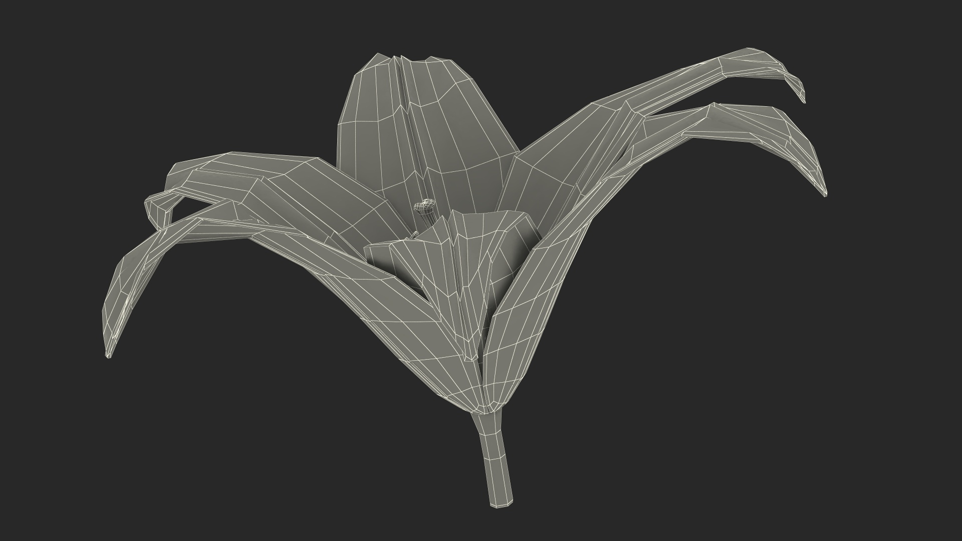 Realistic Lily Flower Model - TurboSquid 2245881