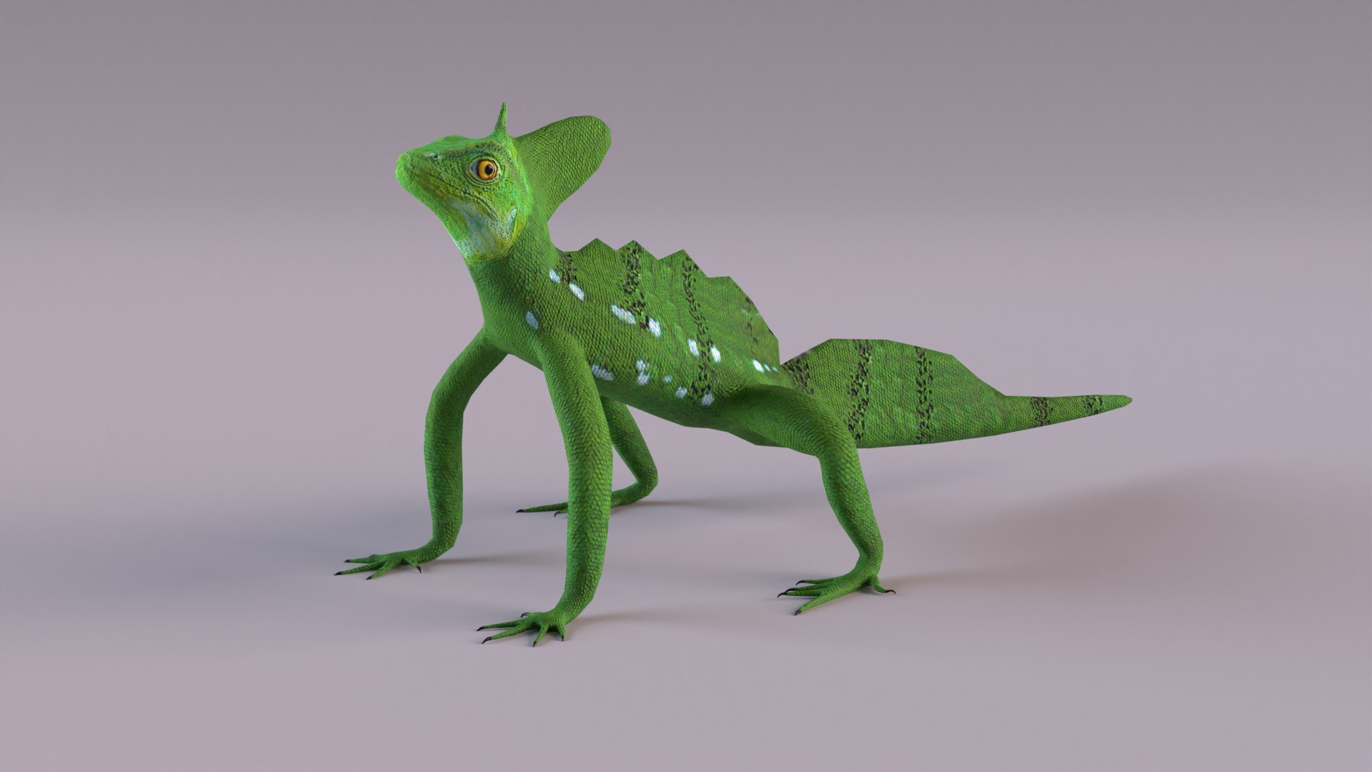 3D basilisk lizard model - TurboSquid 1244687