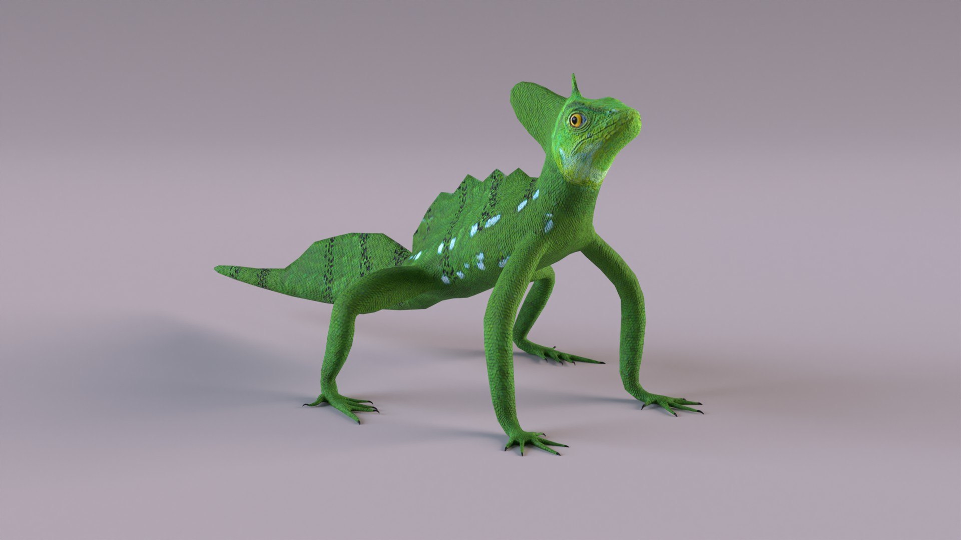3D basilisk lizard model - TurboSquid 1244687