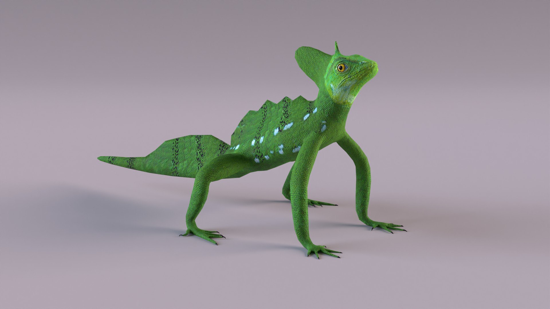 3D basilisk lizard model - TurboSquid 1244687