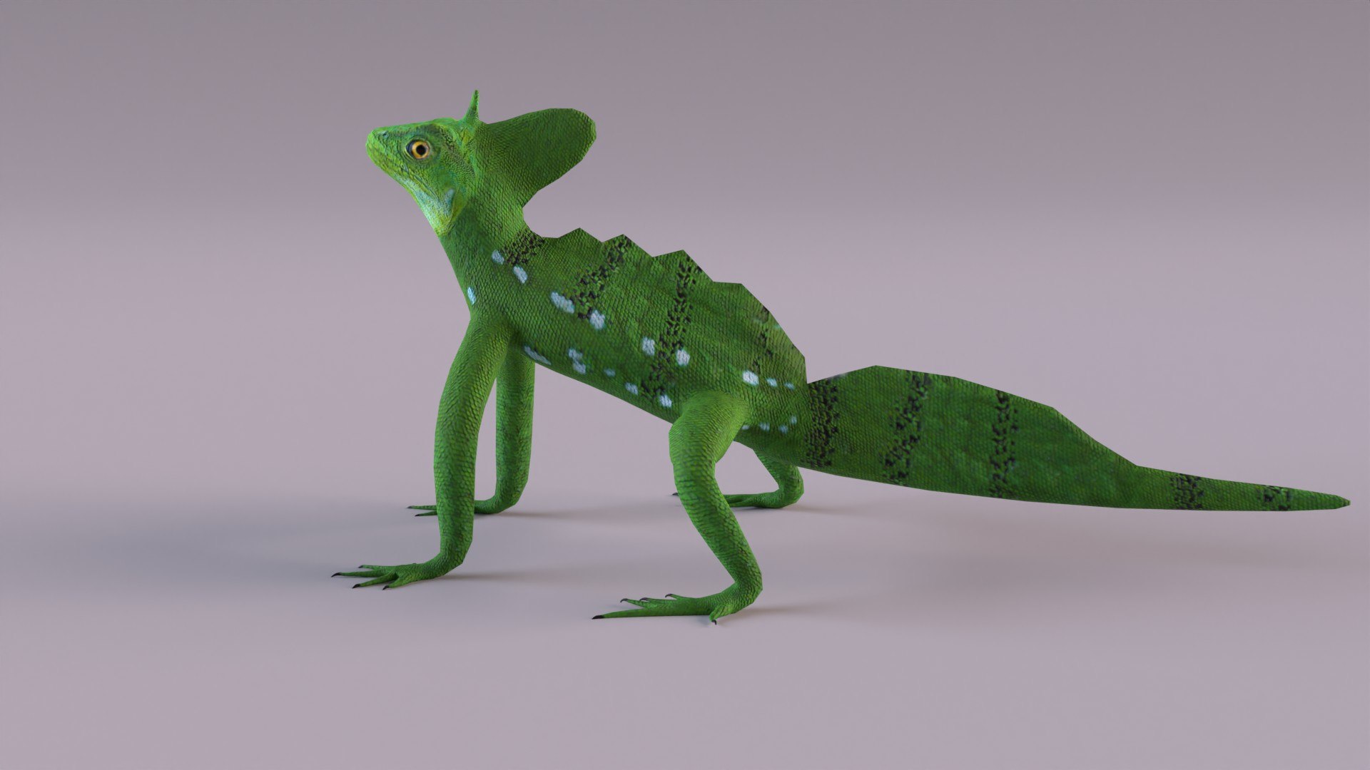 3D basilisk lizard model - TurboSquid 1244687