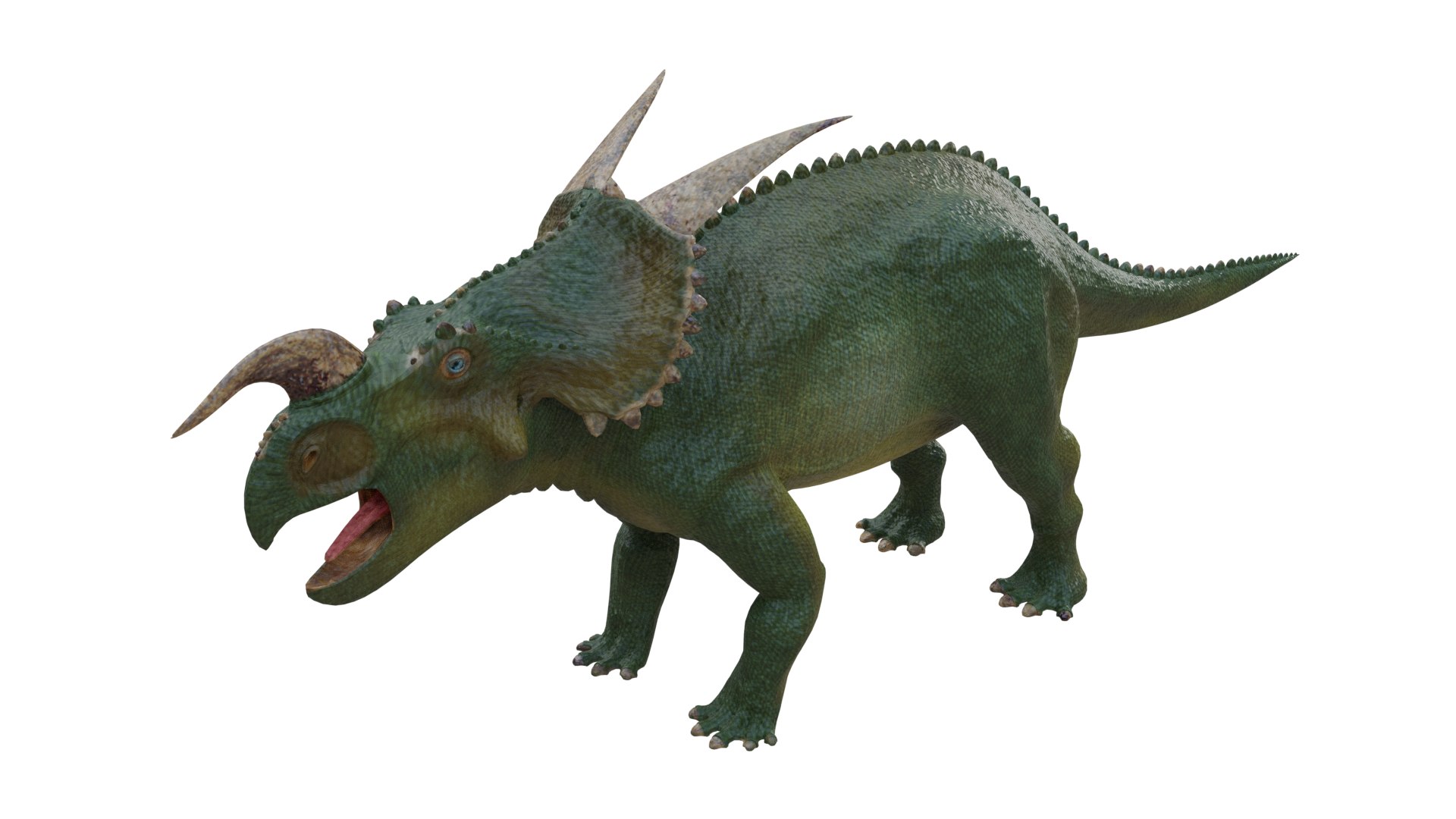 Einiosaurus 3D Model - TurboSquid 1986147