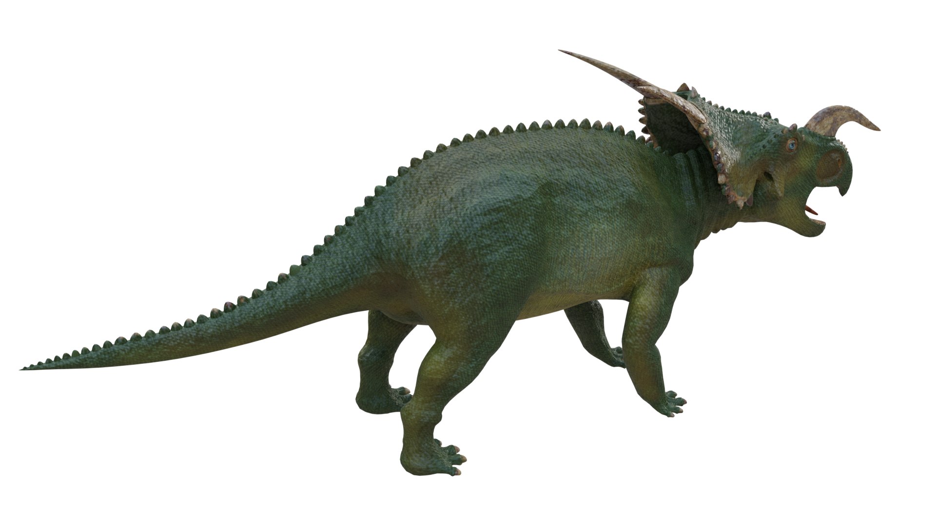 Einiosaurus 3D Model - TurboSquid 1986147