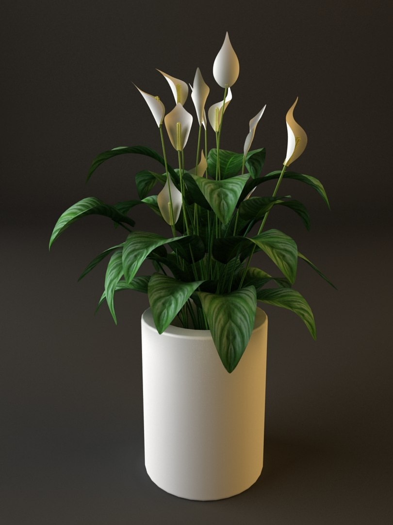 3d model plant pot