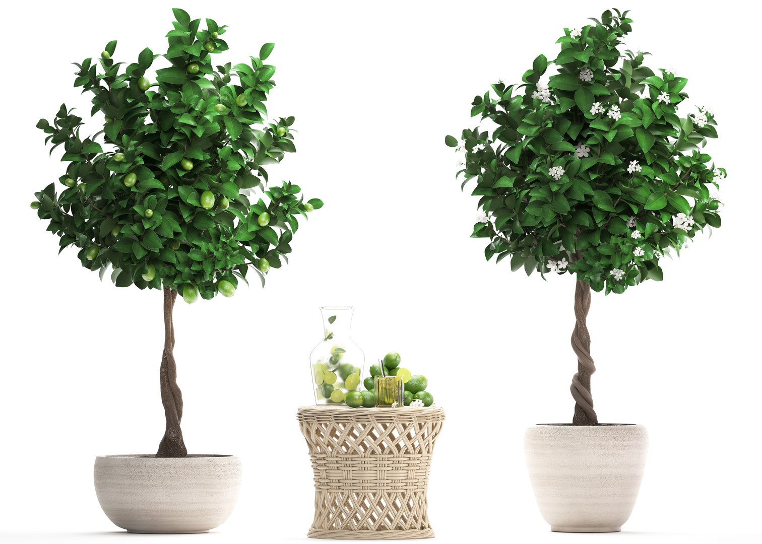 Lime Tree Lemon Fruit 3D Model - TurboSquid 1368690