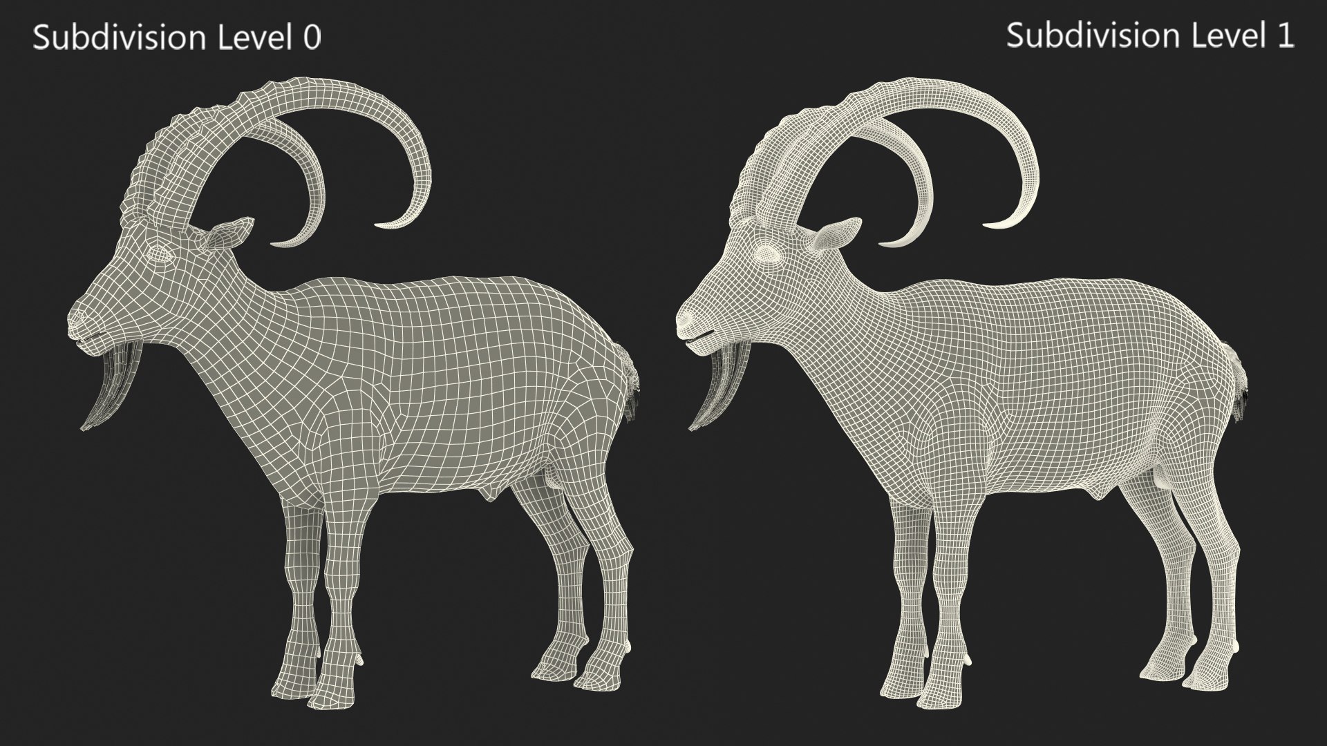 3D Alpine Ibex Fur Model - TurboSquid 2220176