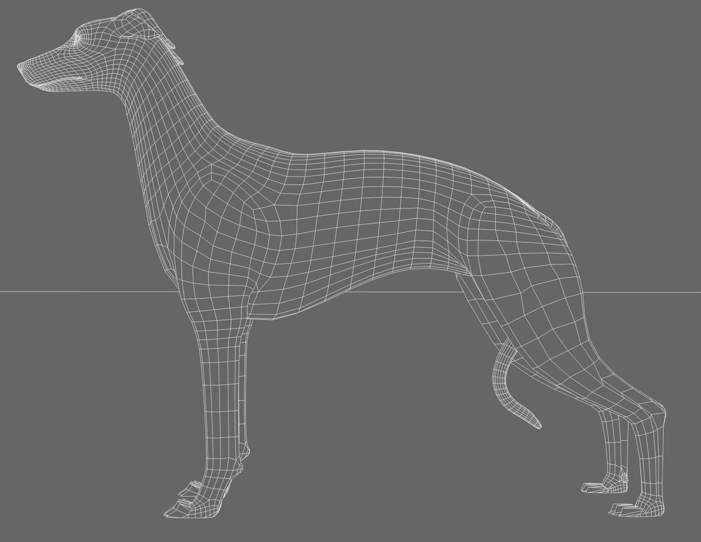 3D Rigged Whippet Dog - TurboSquid 1392235