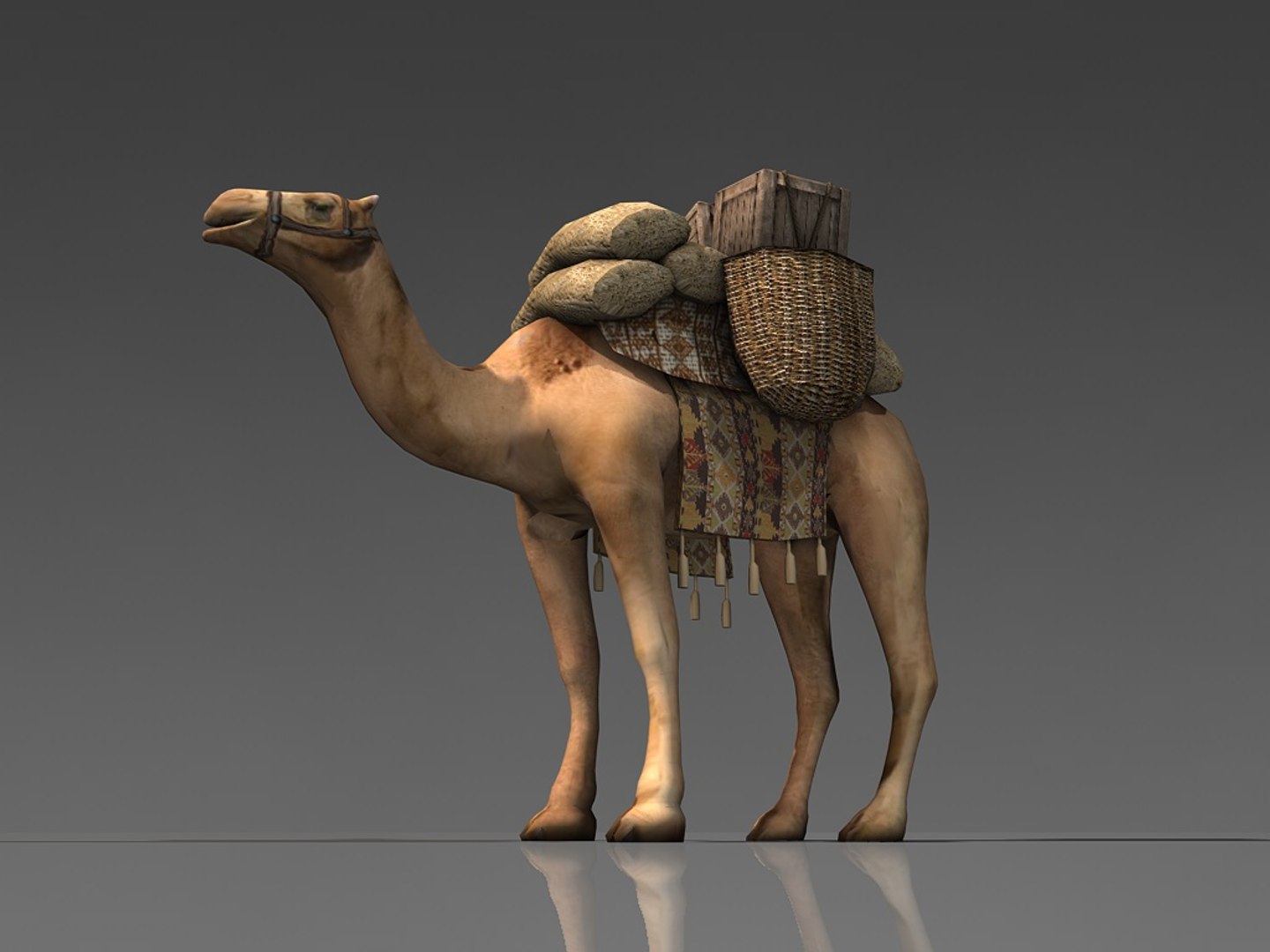 3d Model Loaded Camel