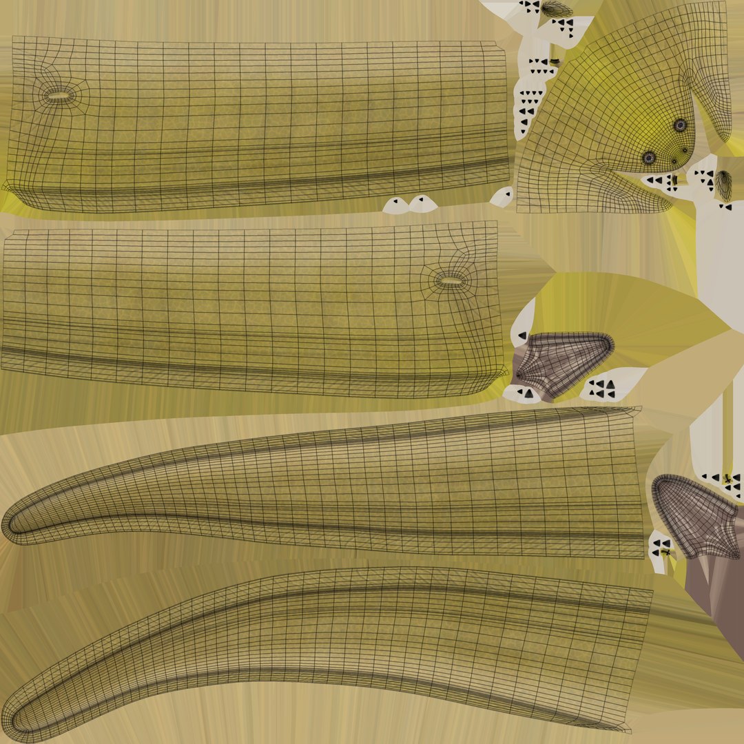 Moray Eel Model - TurboSquid 1534608