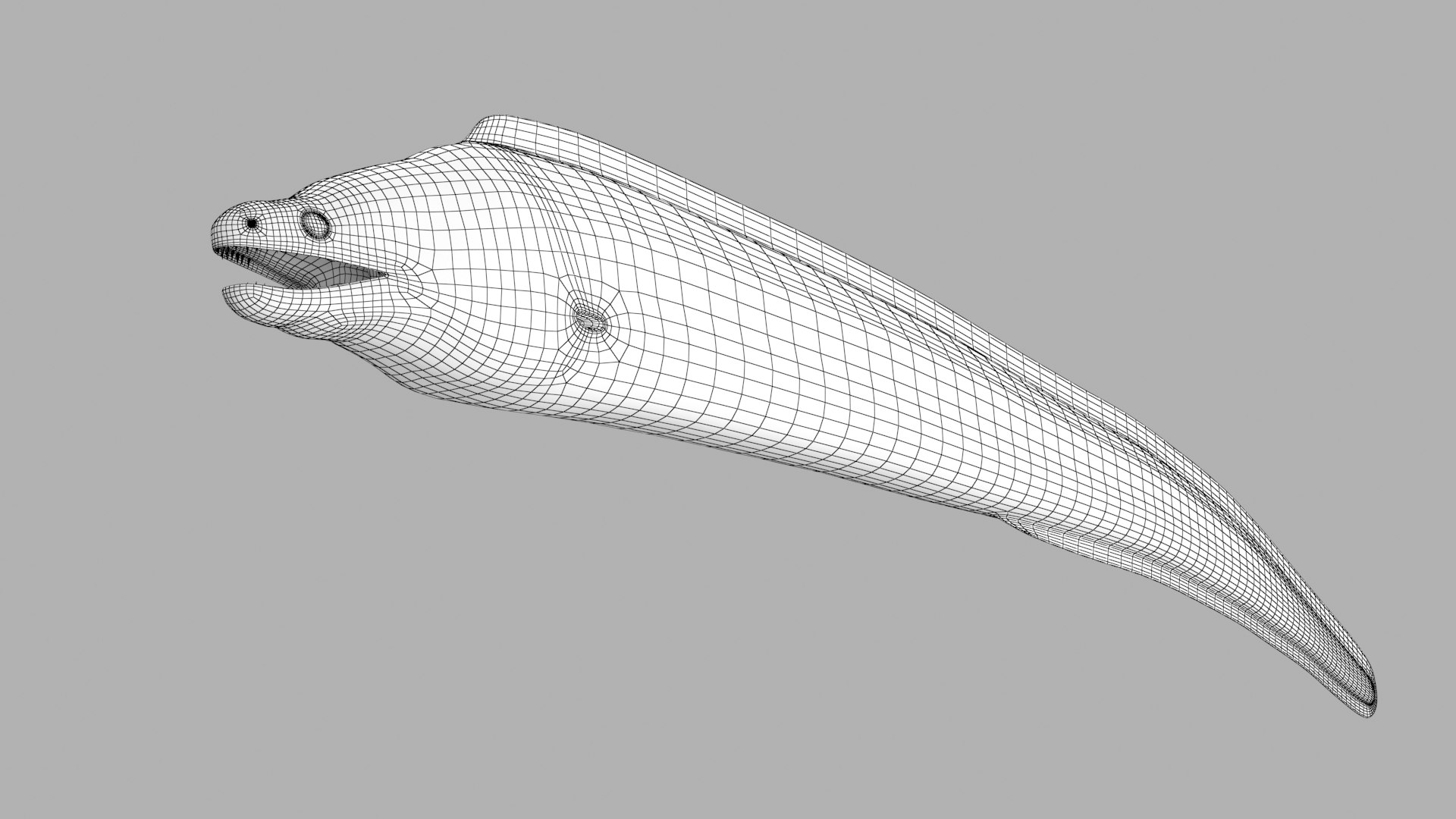 Moray Eel Model - TurboSquid 1534608