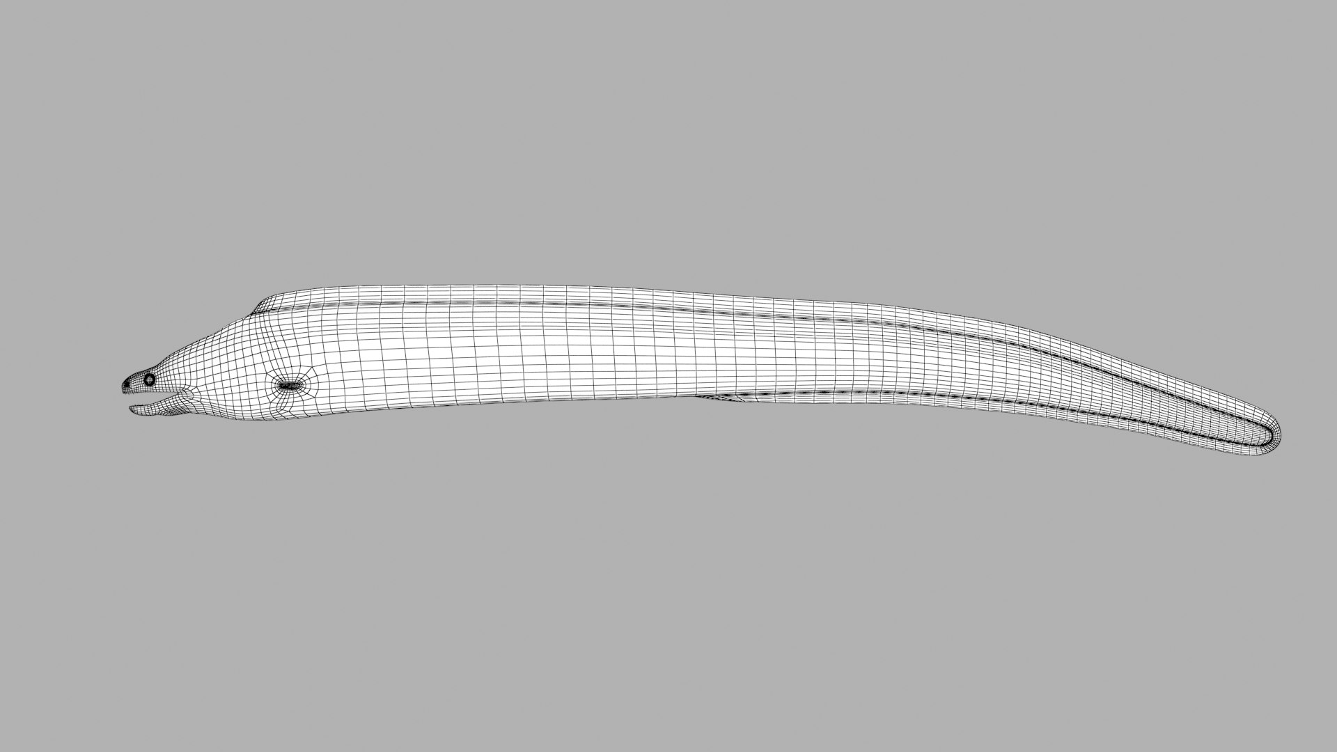 Moray Eel Model - TurboSquid 1534608