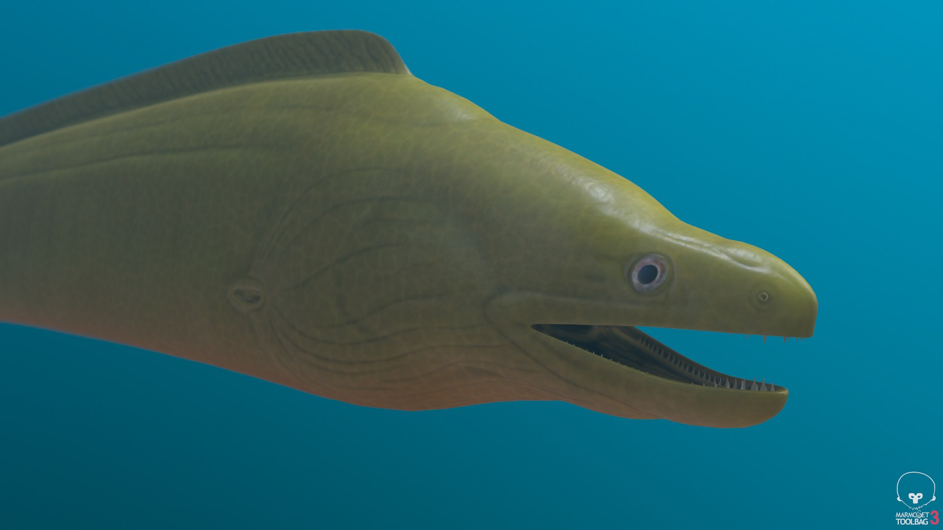 Moray Eel Model - TurboSquid 1534608