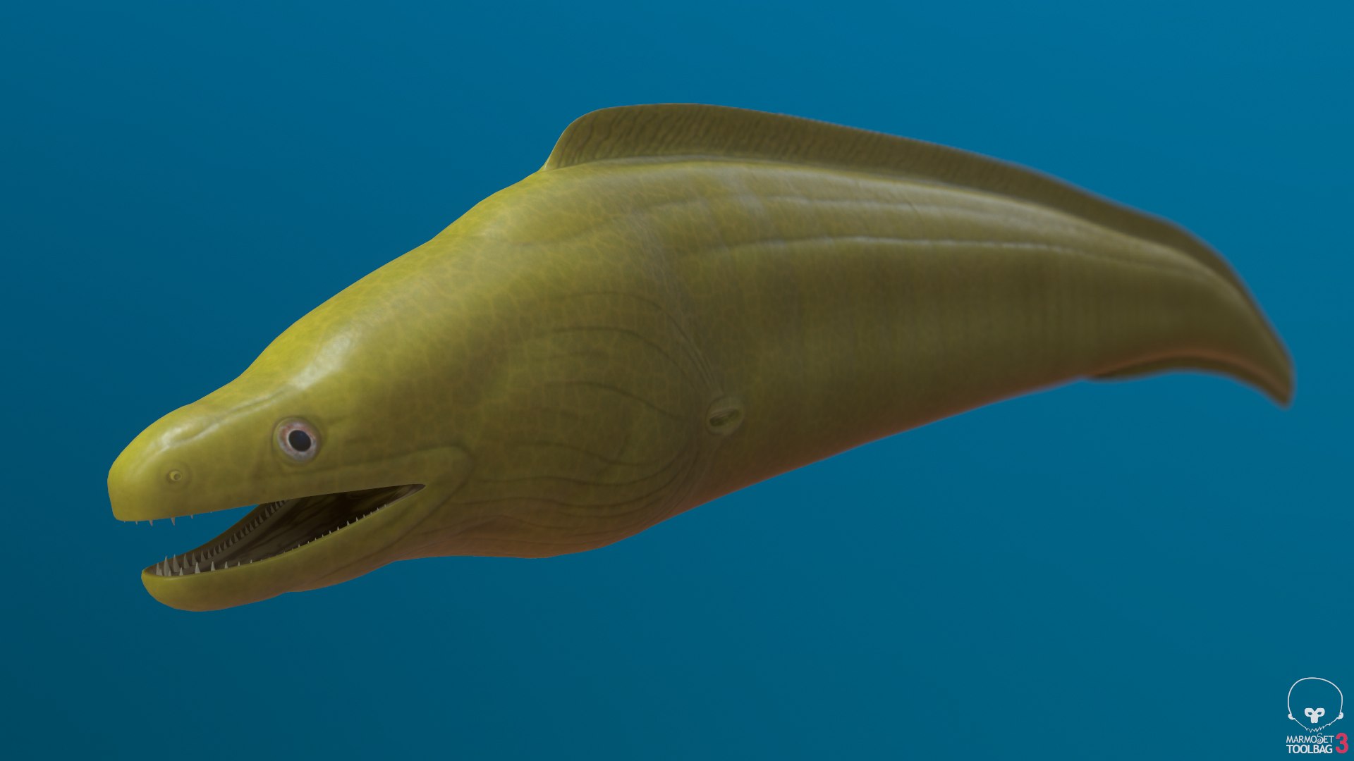 Moray Eel Model - TurboSquid 1534608