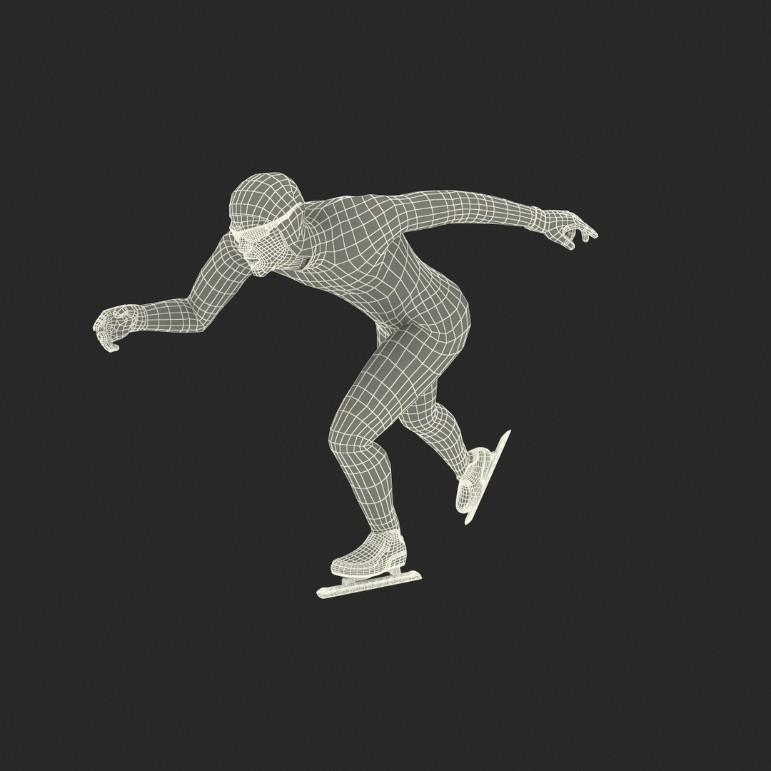 3d Speed Skater Runs