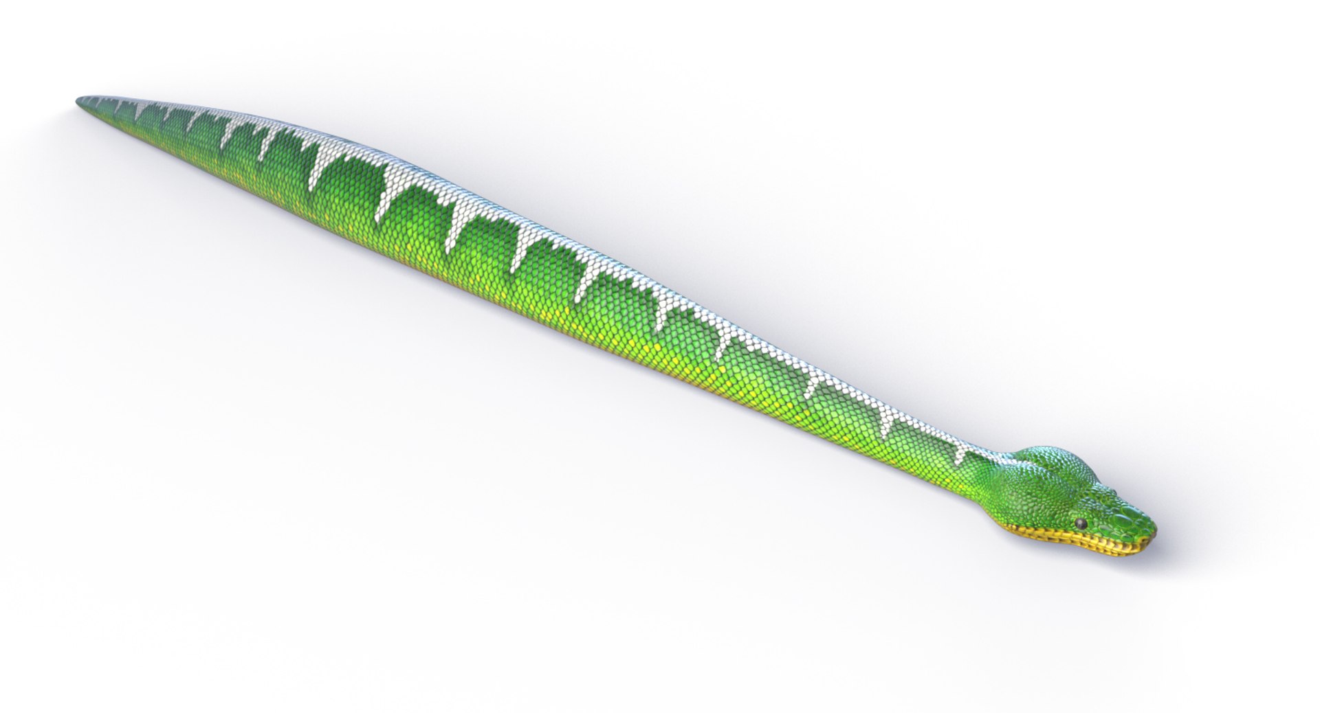 3D Emerald Tree Boa - Rigged - TurboSquid 1774510