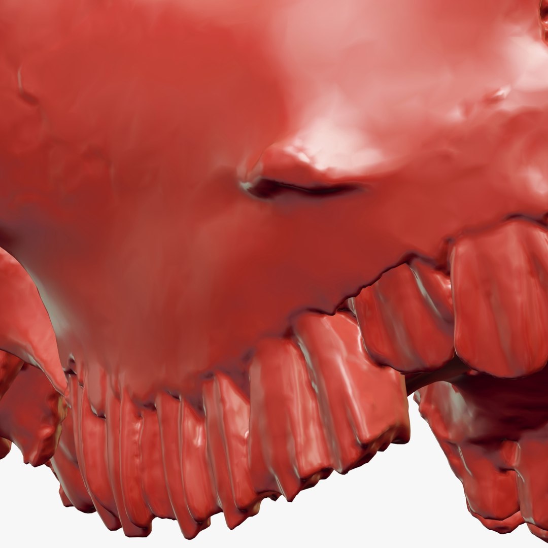 Cow Skull 3D Model - TurboSquid 1400152