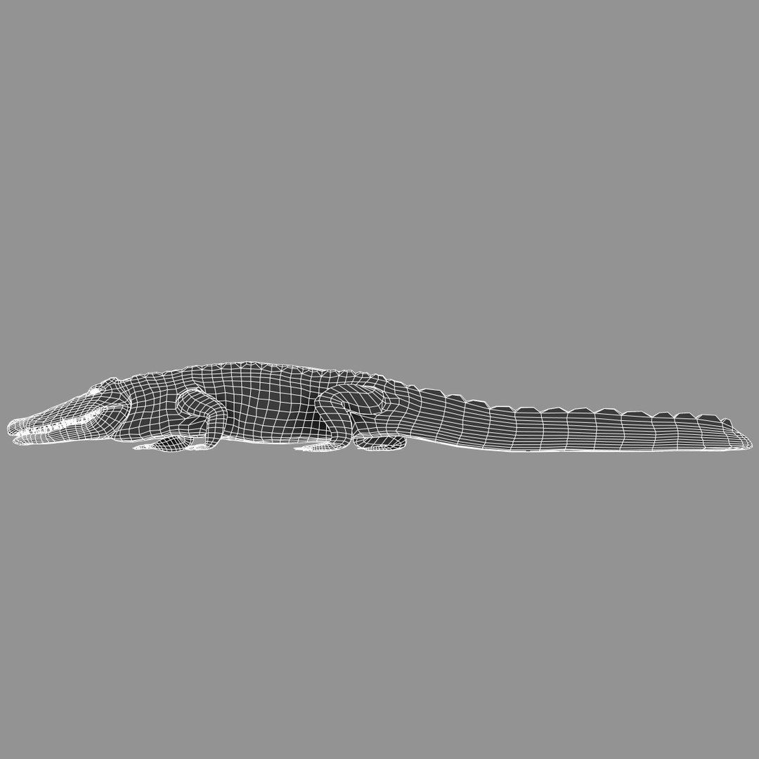 3d model realistic crocodile animations