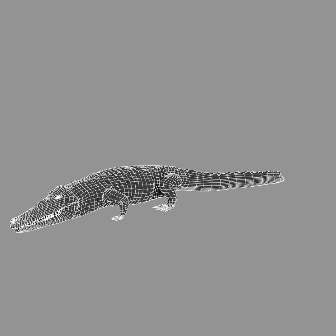 3d model realistic crocodile animations