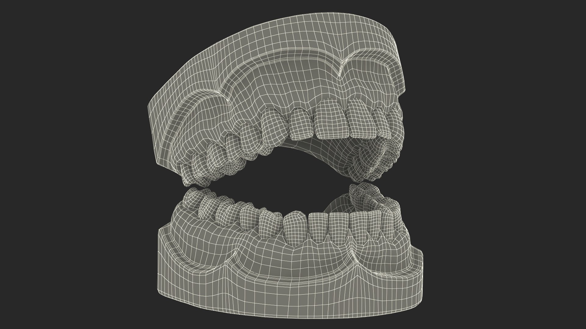 Human Teeth Anatomy Educational Replica 3D - TurboSquid 2311829