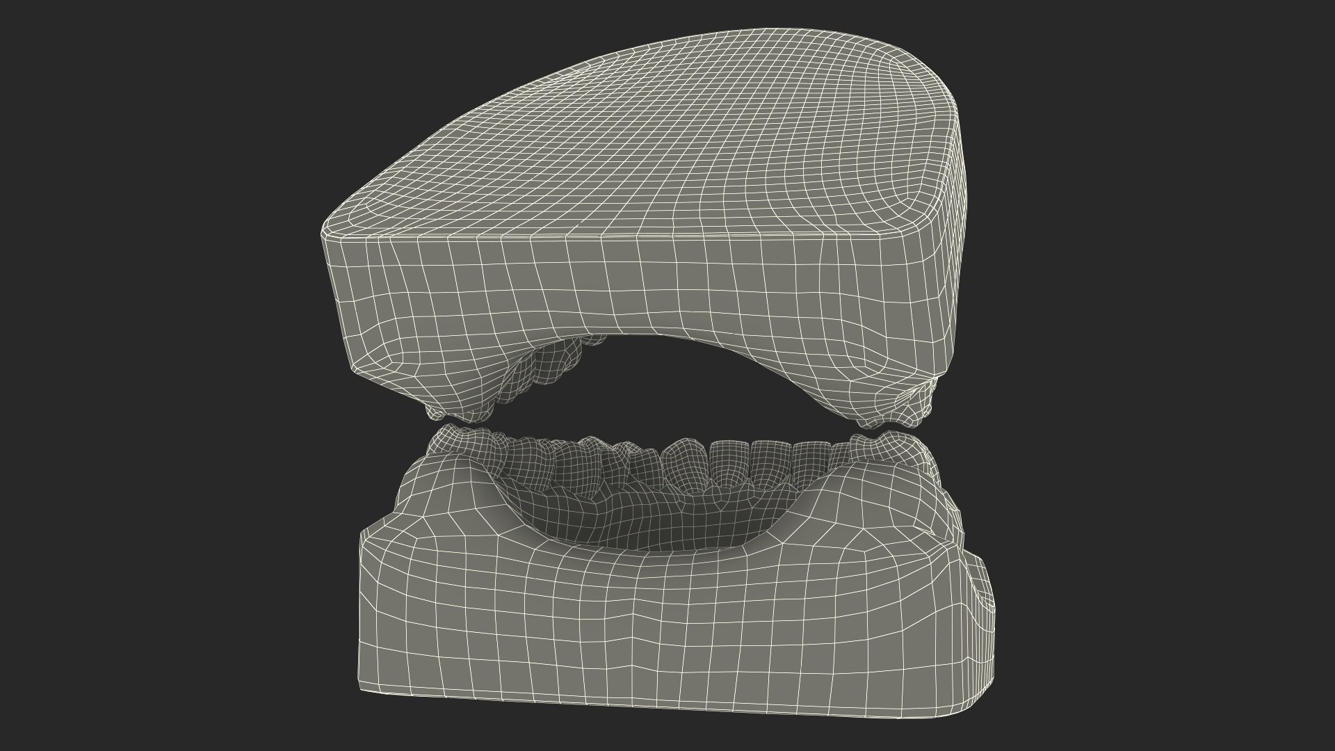 Human Teeth Anatomy Educational Replica 3D - TurboSquid 2311829