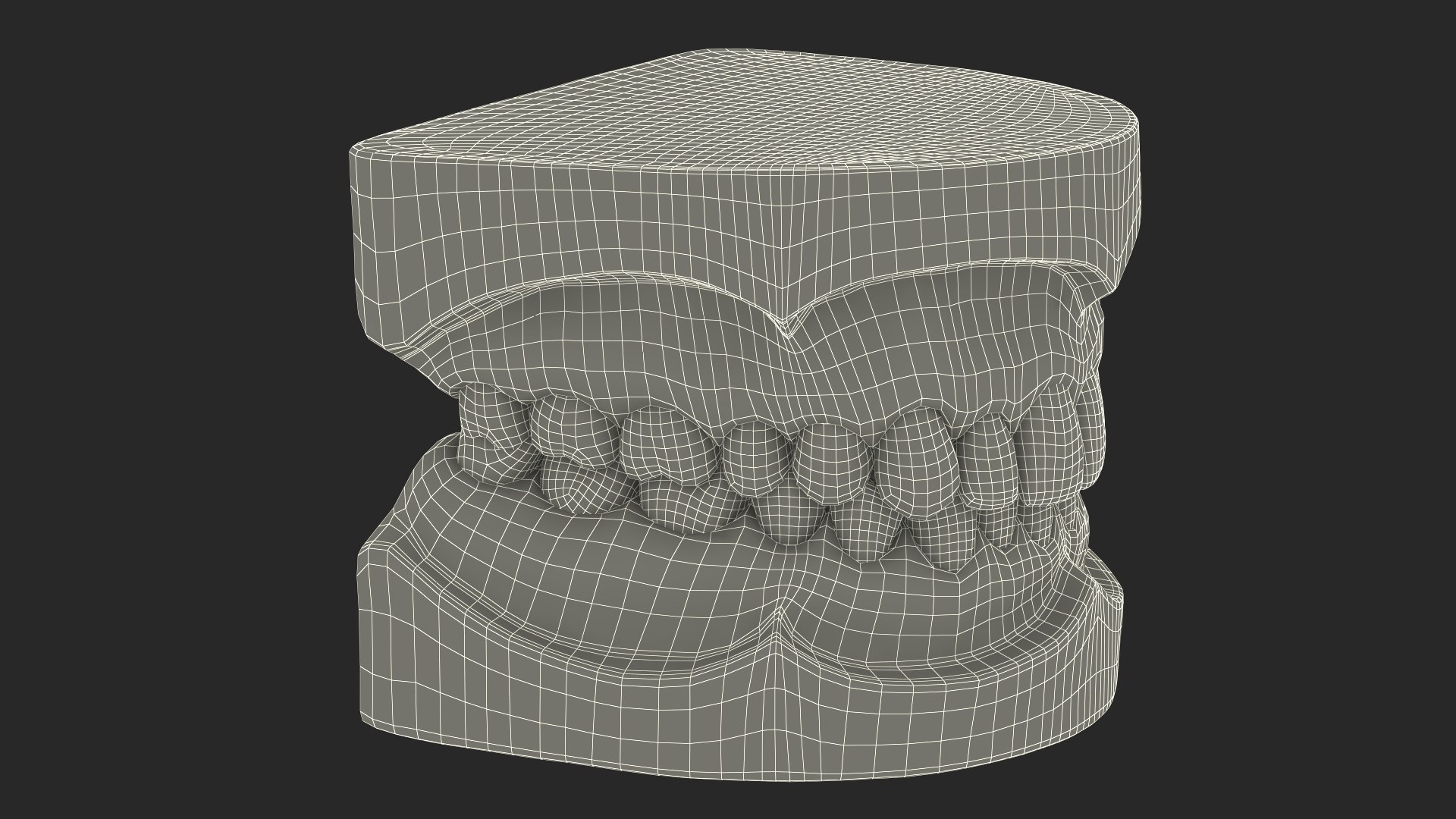 Human Teeth Anatomy Educational Replica 3D - TurboSquid 2311829