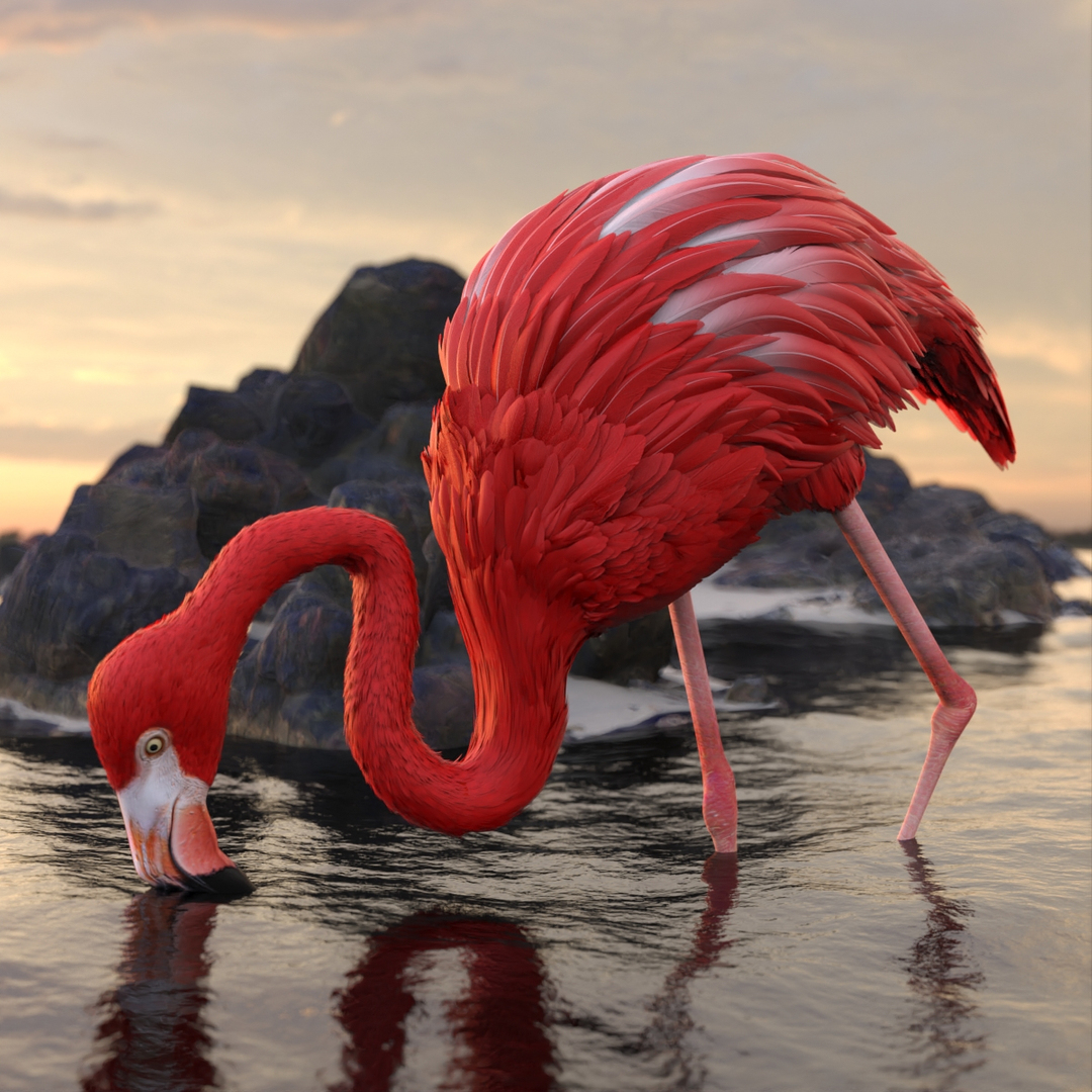 modèle 3D de Oiseau exotique Flamant rouge truqué - TurboSquid 2464950