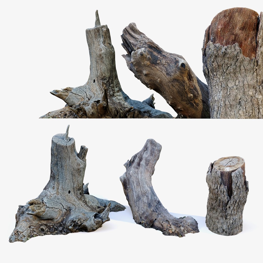Tree Stump Pack 3 3D - TurboSquid 1947188