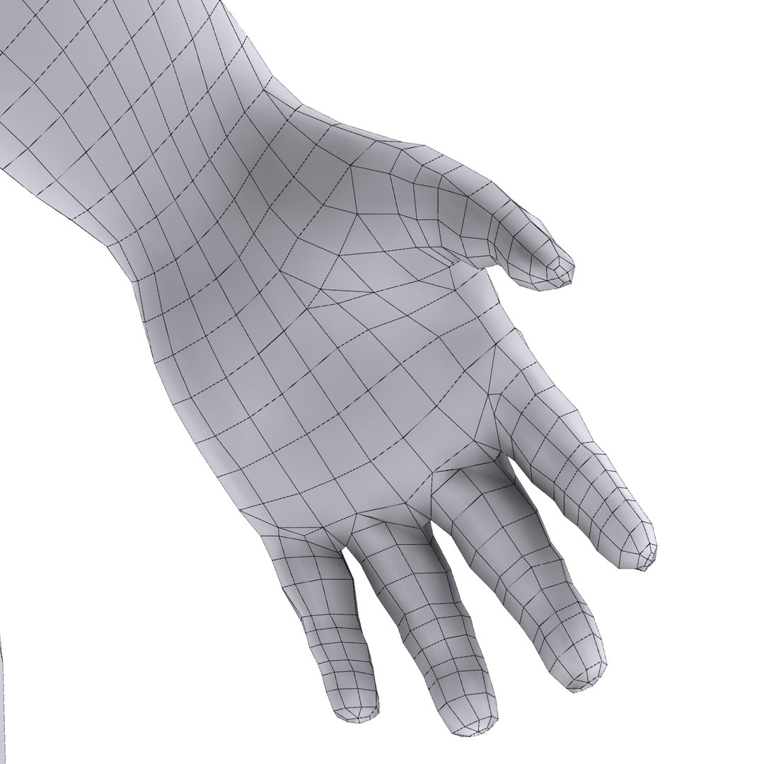 3d Realistic Sumo Model