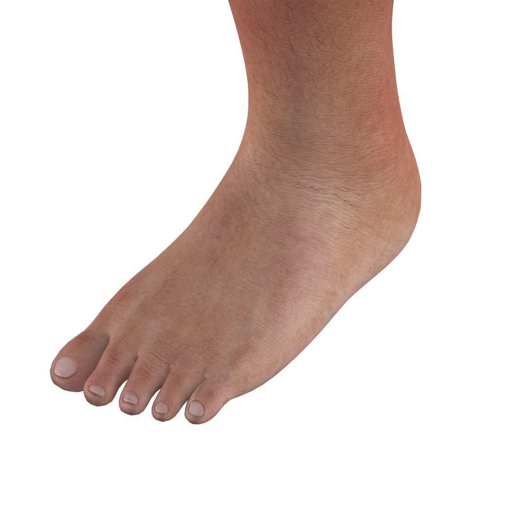 3d Realistic Sumo Model