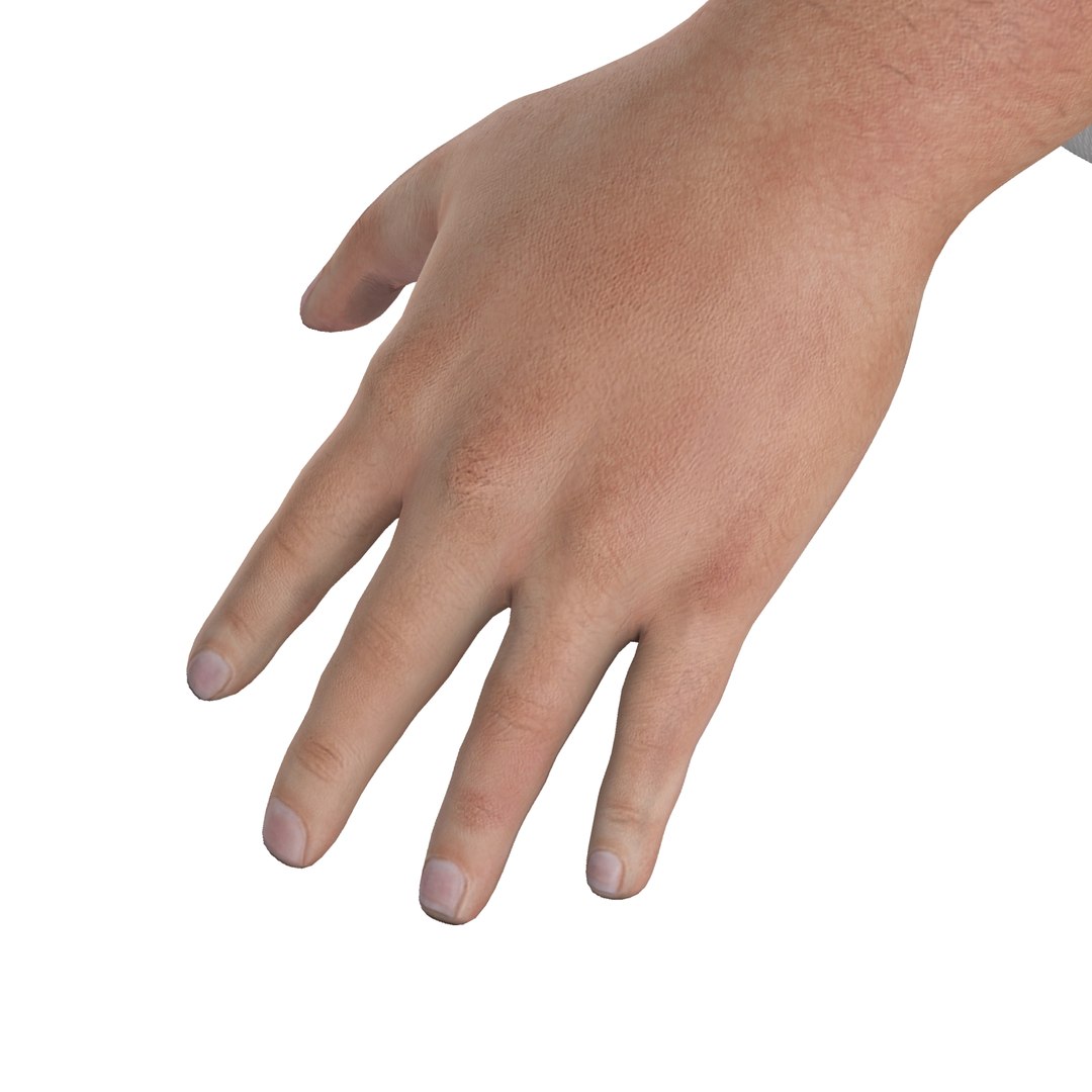 3d Realistic Sumo Model