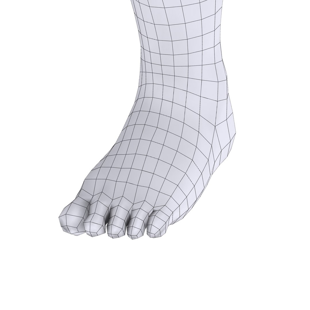 3d Realistic Sumo Model