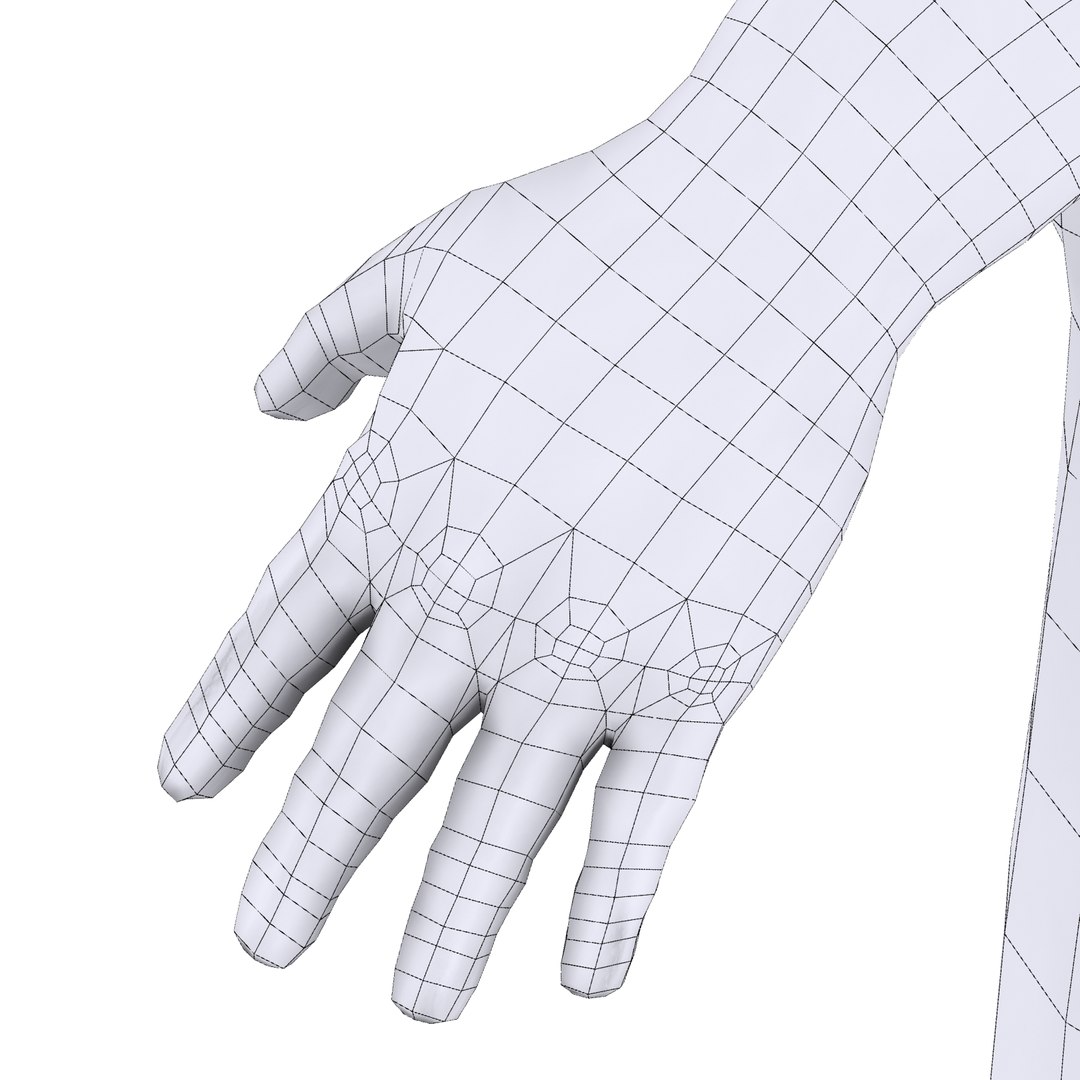 3d Realistic Sumo Model