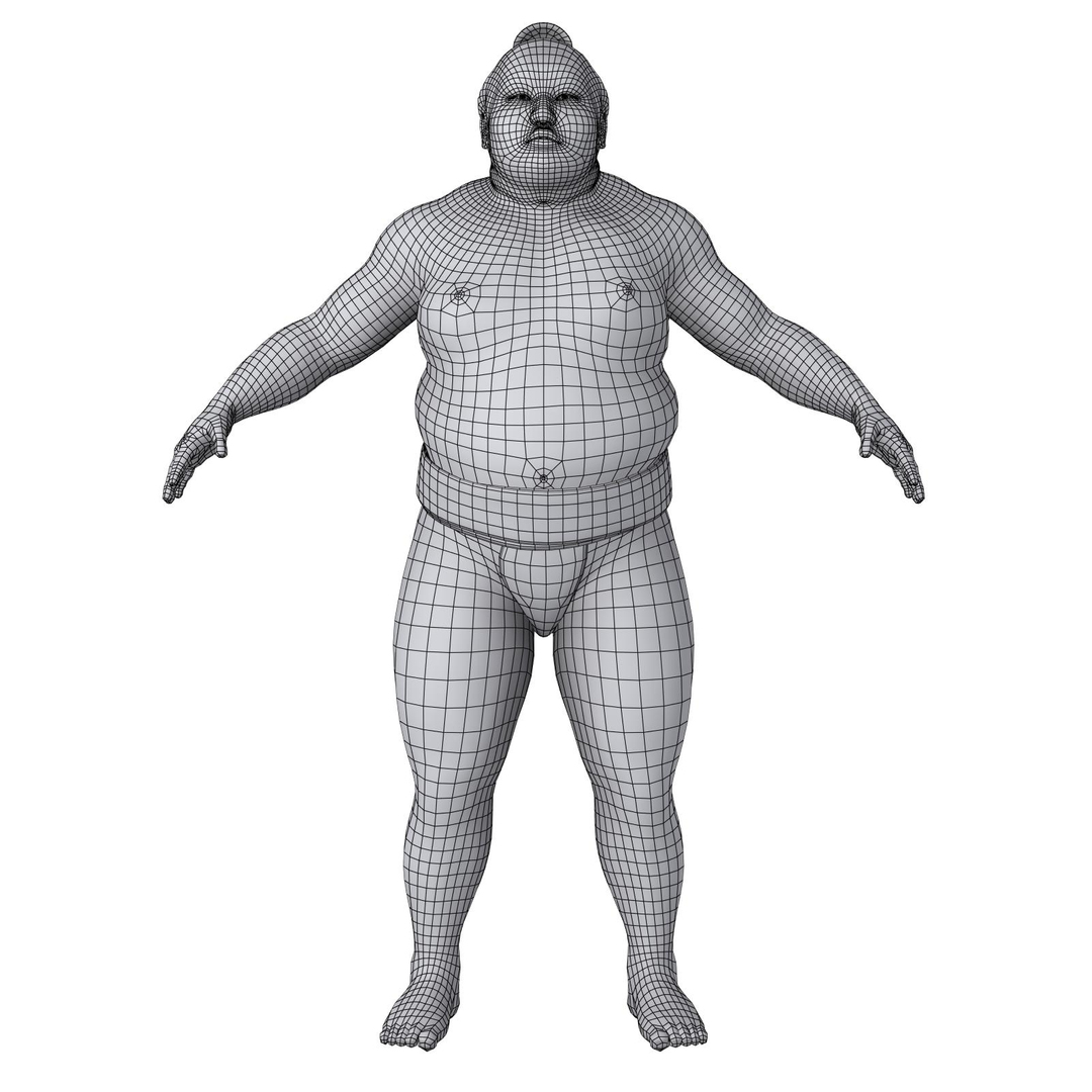 3d Realistic Sumo Model