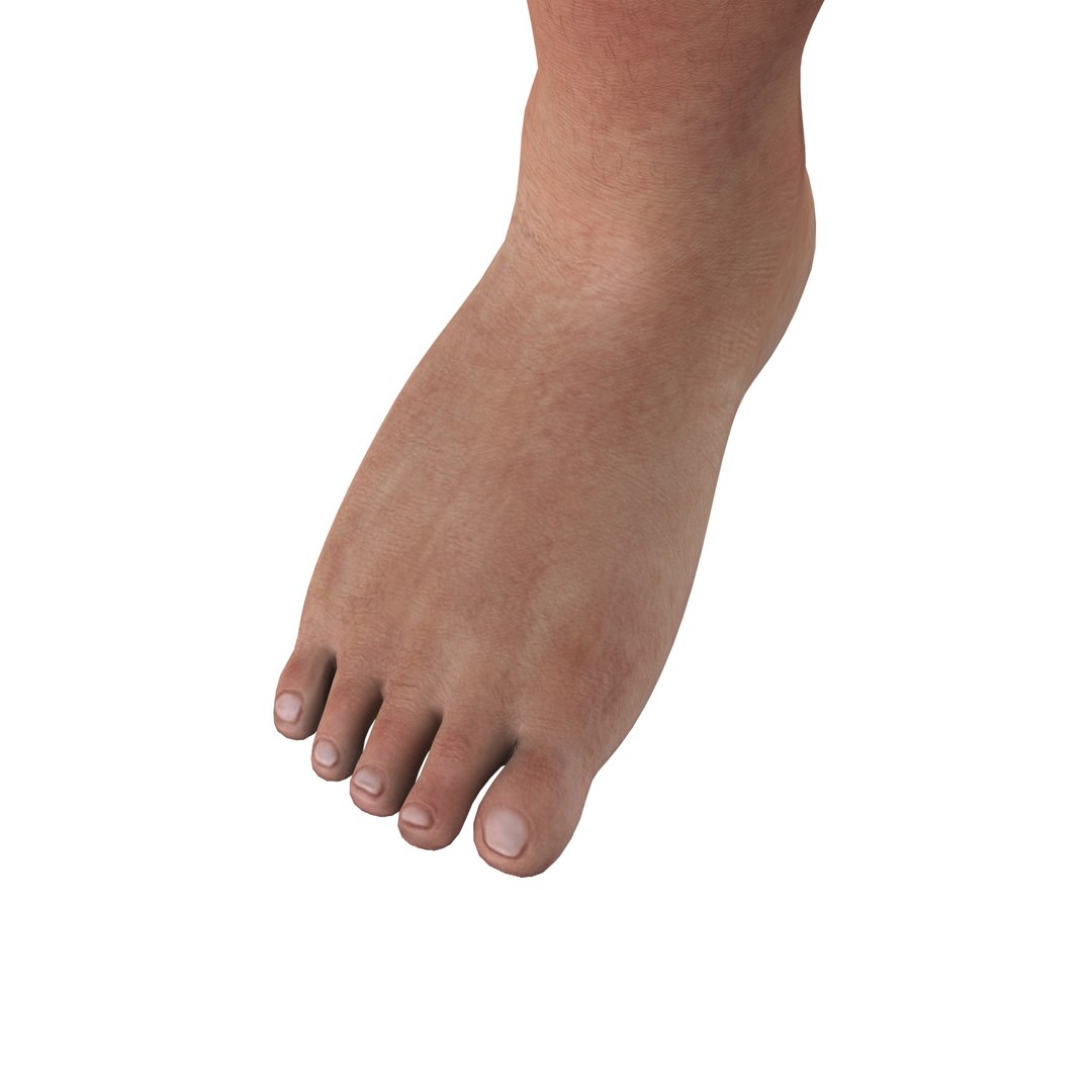 3d Realistic Sumo Model