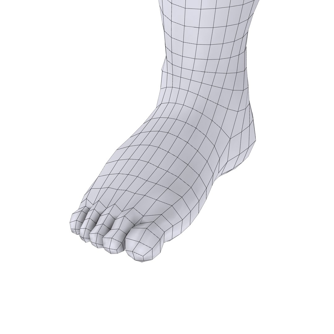 3d Realistic Sumo Model