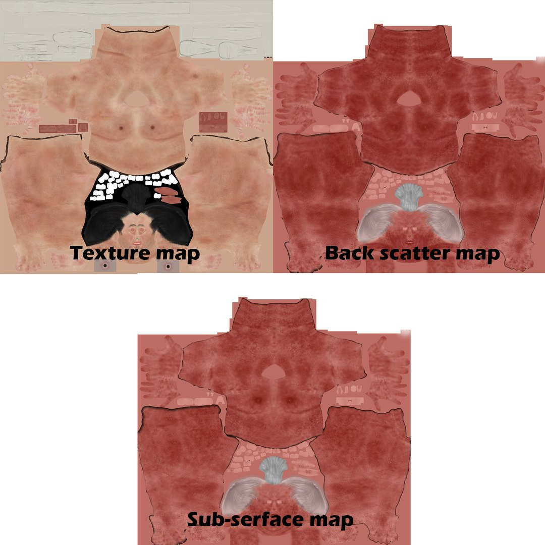 3d Realistic Sumo Model