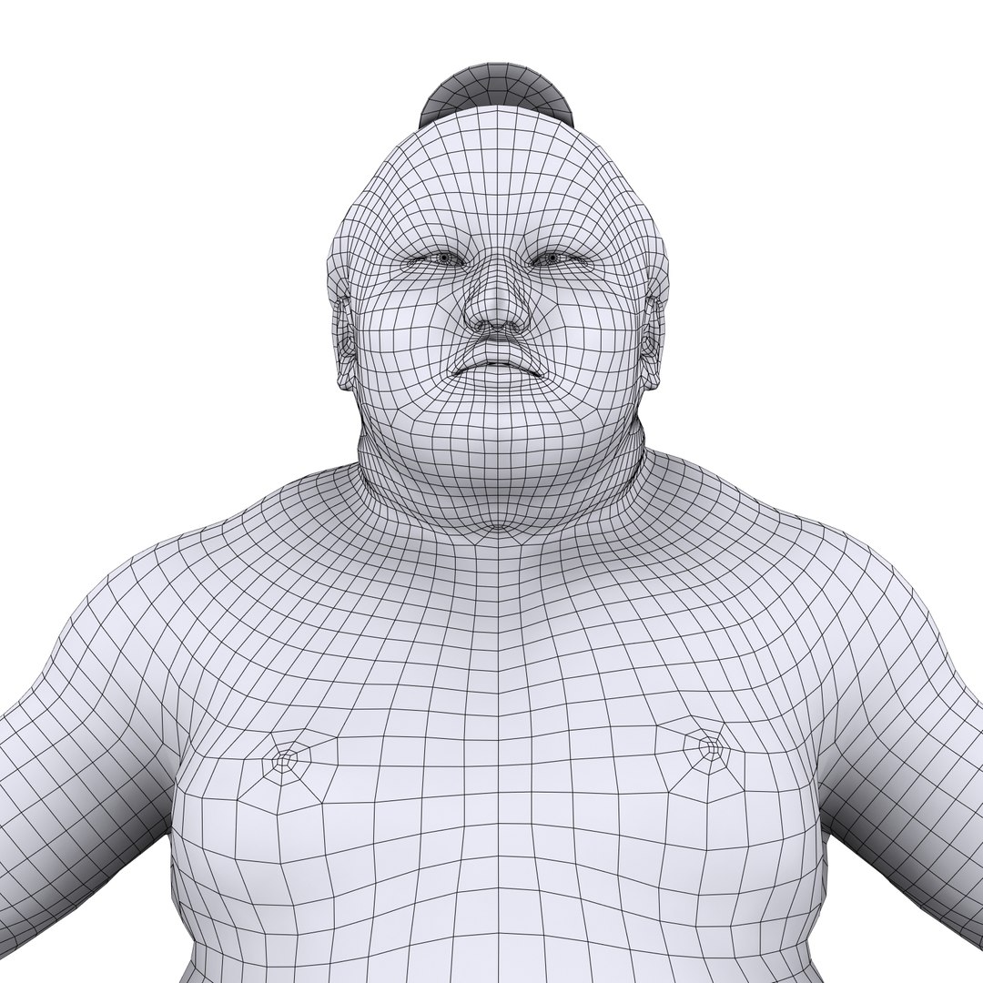 3d Realistic Sumo Model